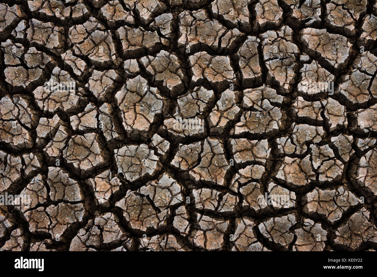 cracked ground for background Stock Photo - Alamy