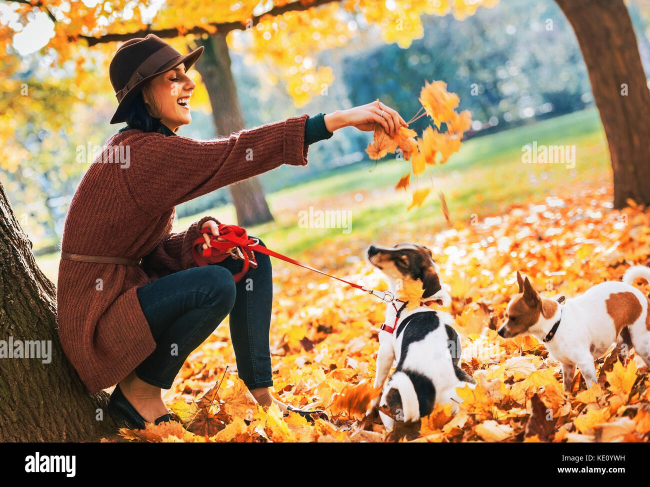 Happy young woman playing with dogs outdoors in autumn Stock Photo - Alamy