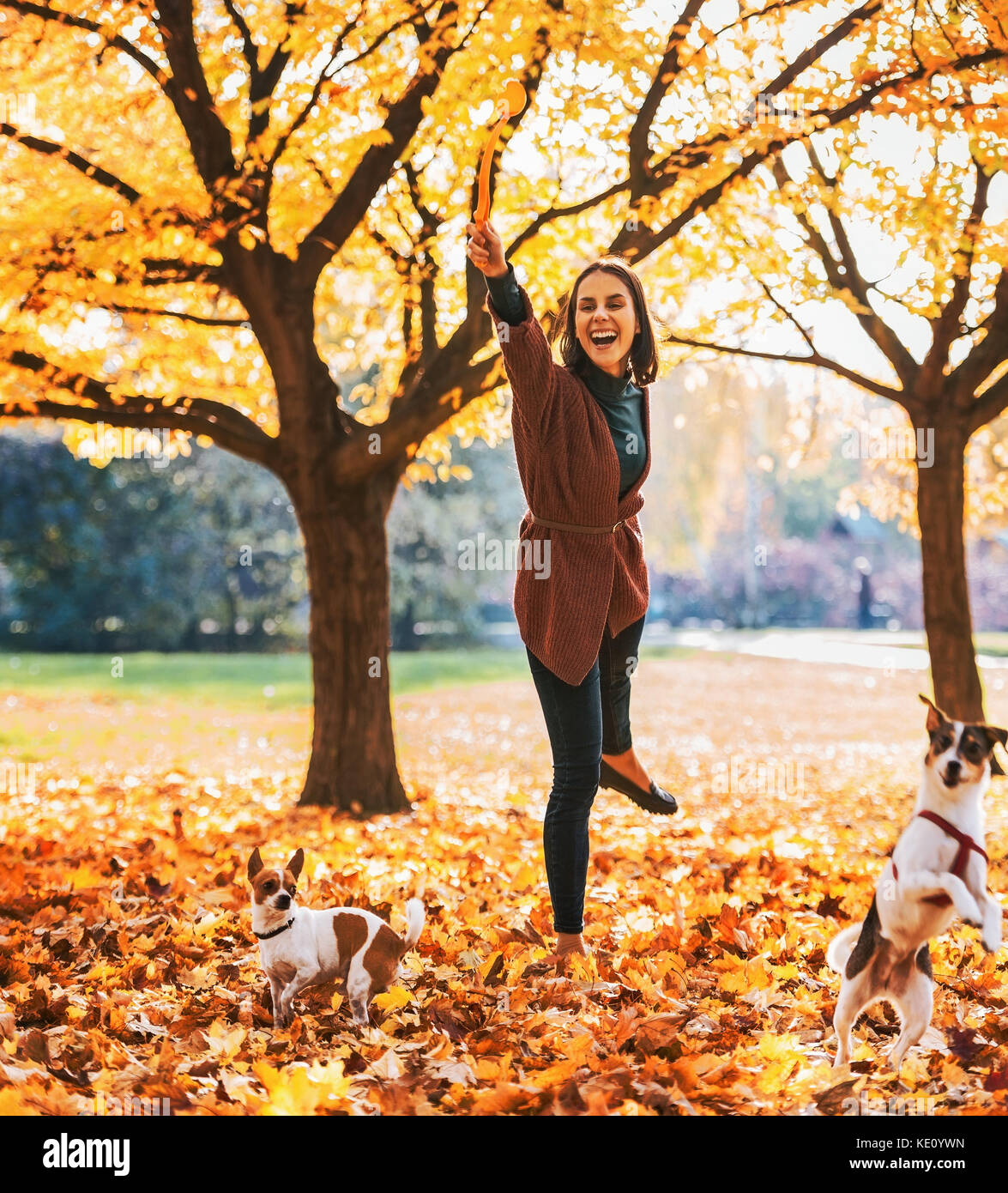 Happy young woman playing with dogs outdoors in autumn Stock Photo - Alamy