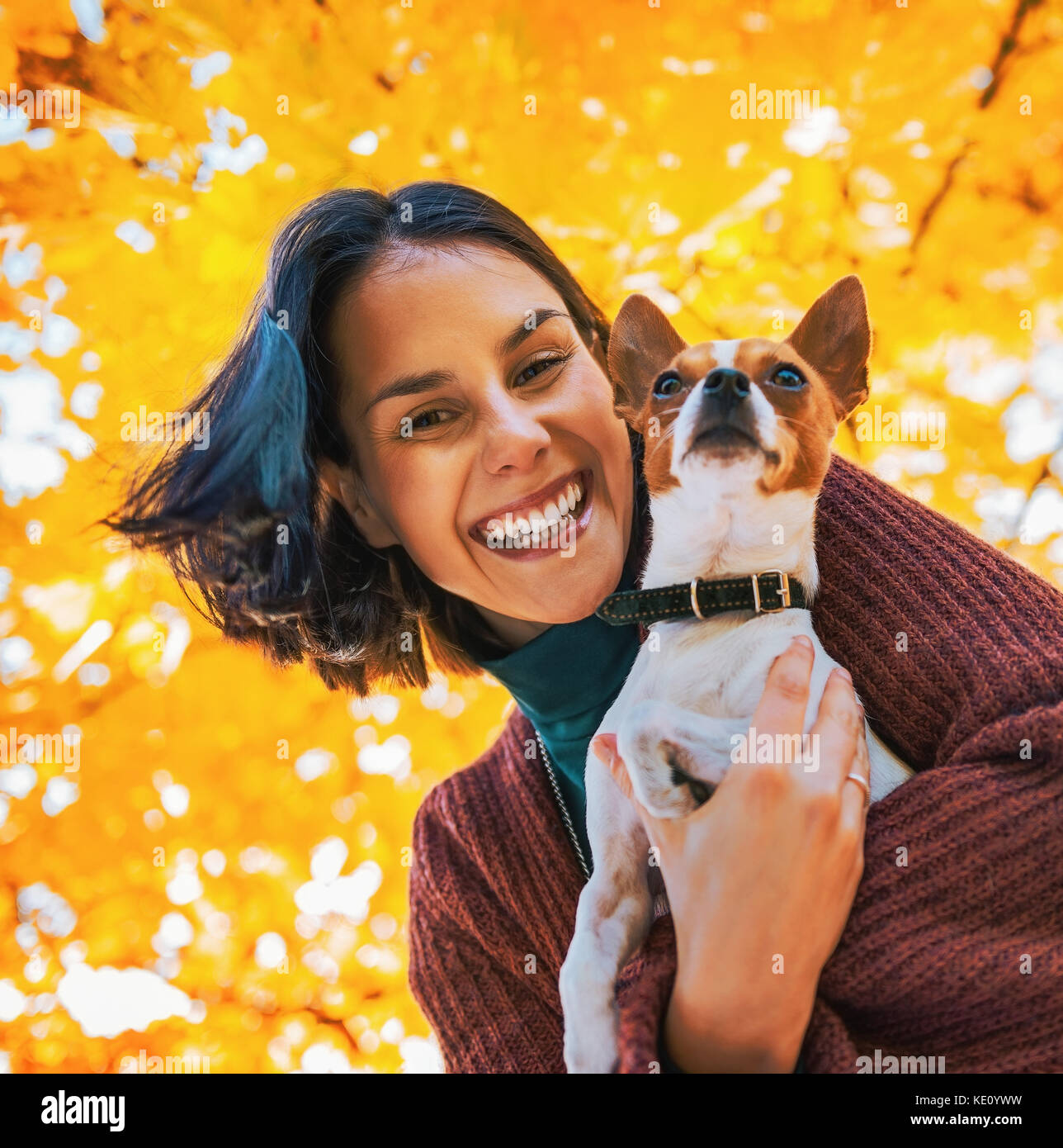 Portrait of happy young woman with dog outdoors in autumn Stock Photo ...