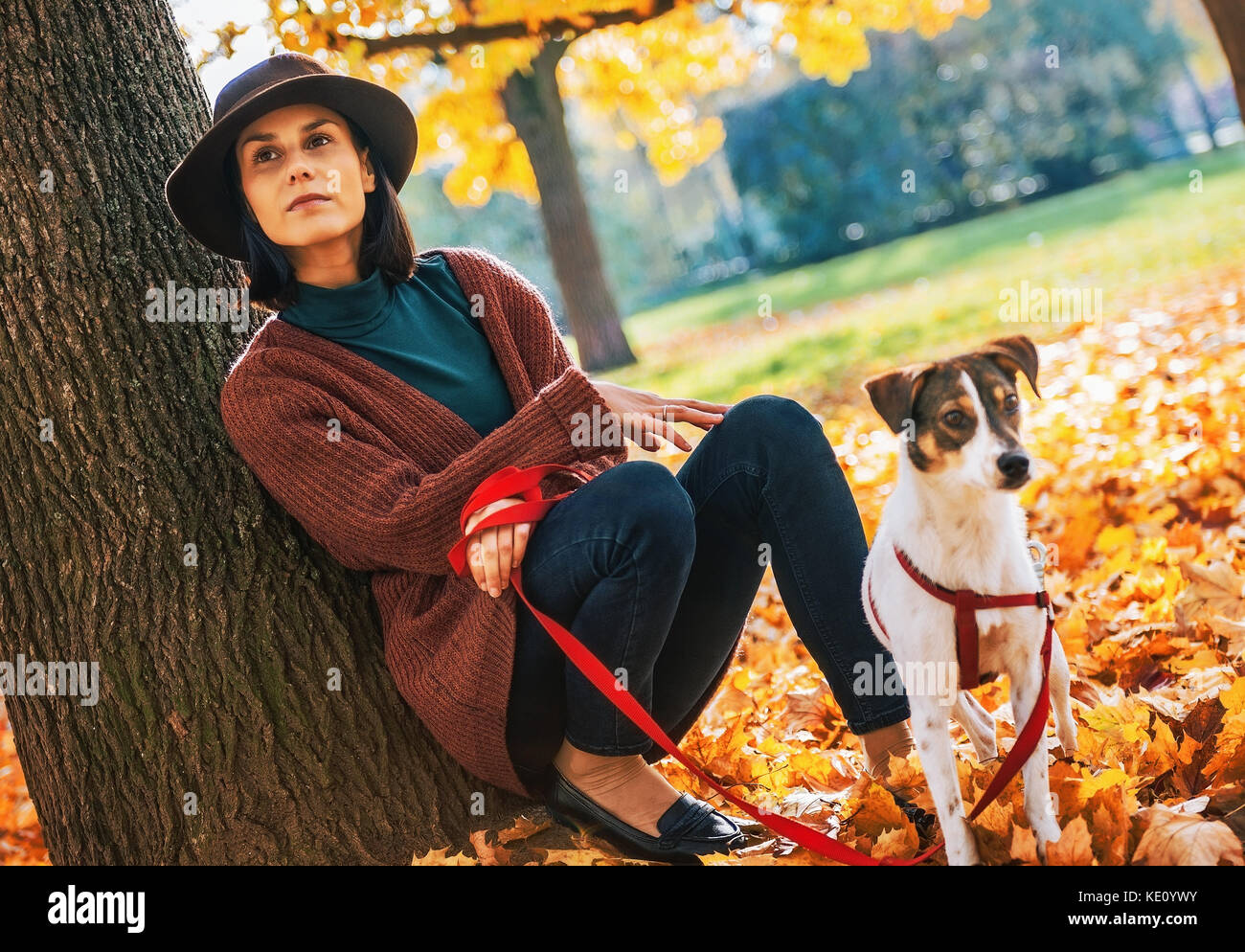 Thoughtful young woman with dog outdoors in autumn Stock Photo - Alamy