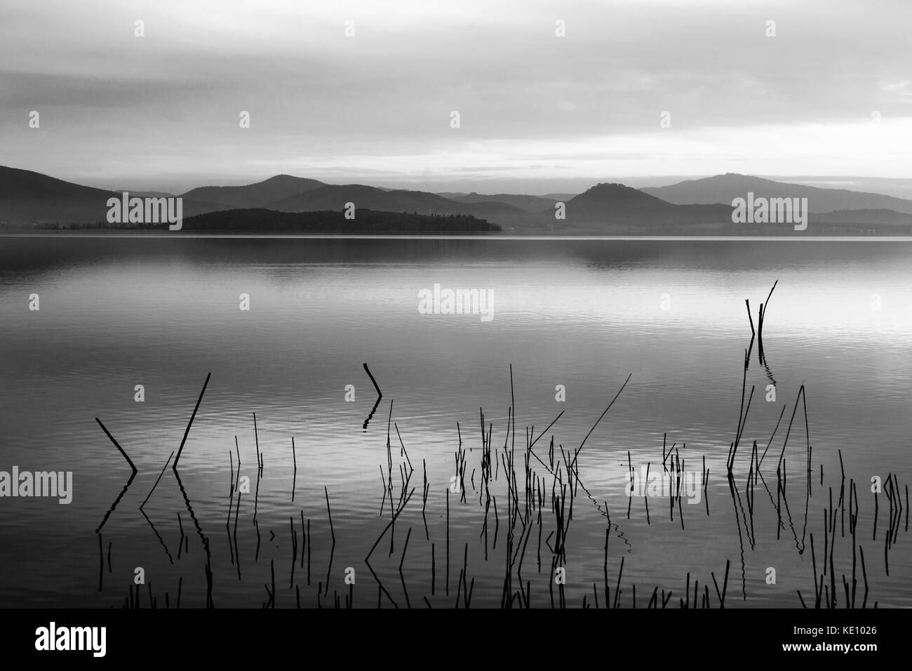 Somber tones Black and White Stock Photos & Images - Alamy