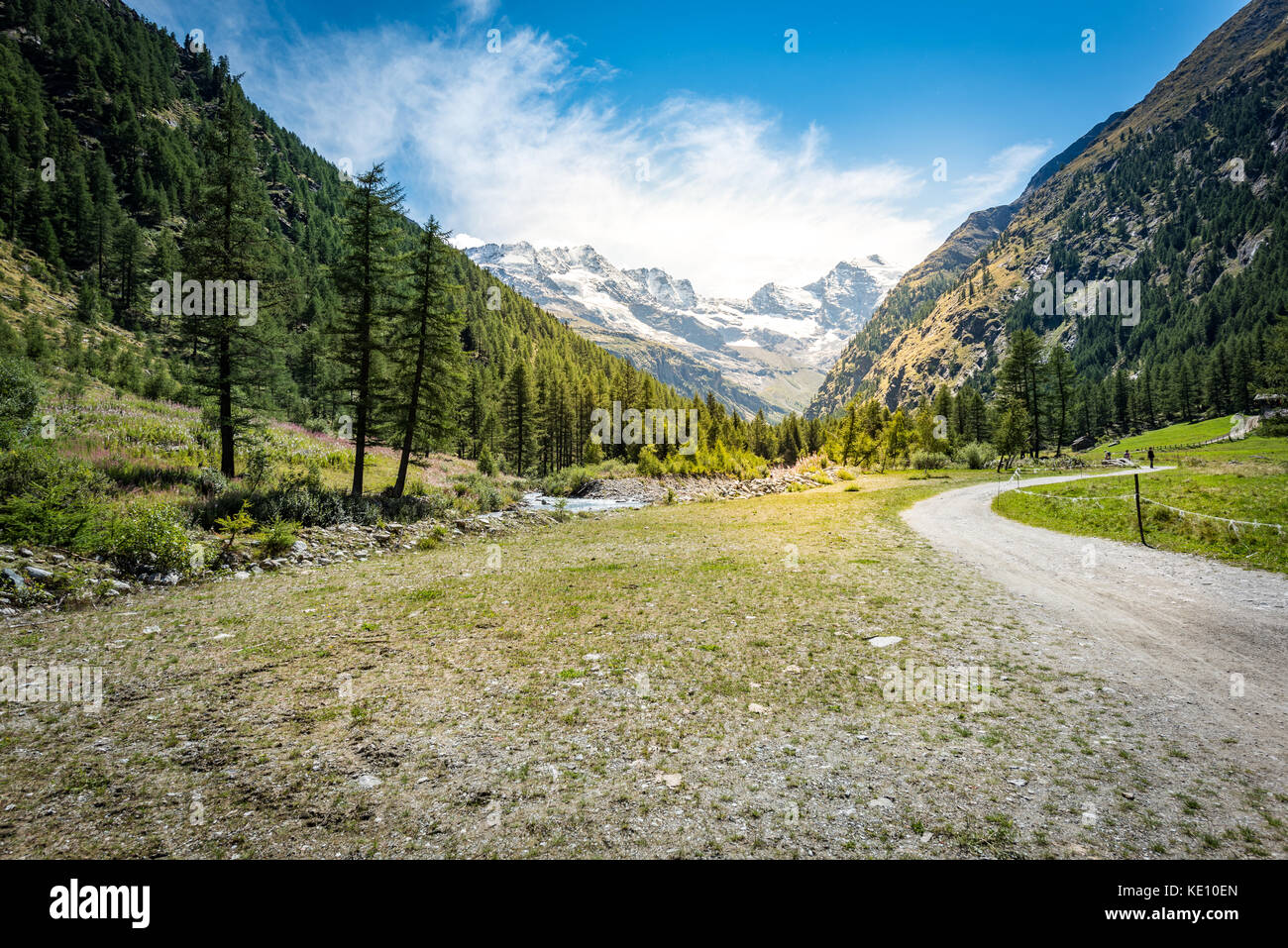 mountain path and trees at sunset time Stock Photo - Alamy