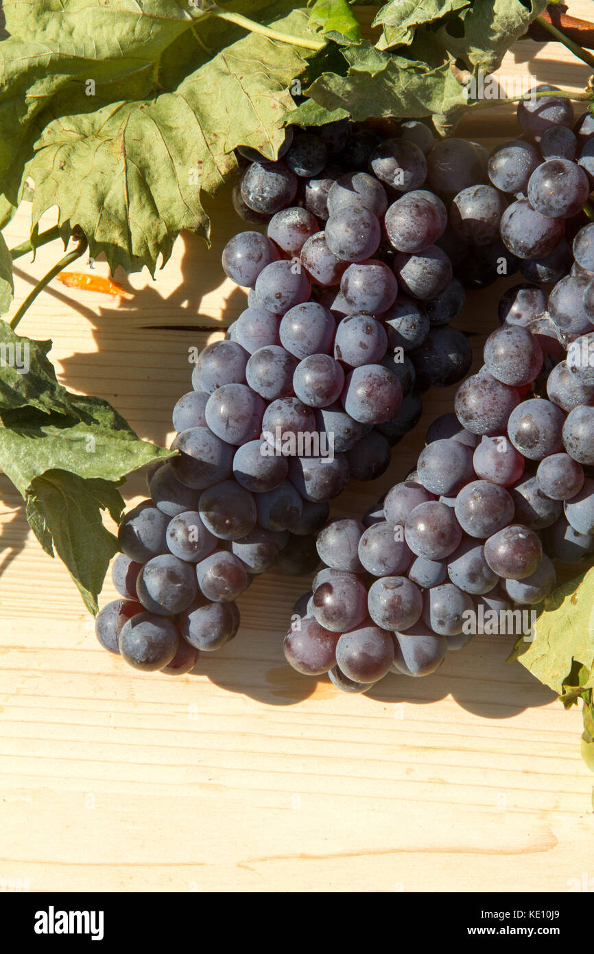 red grapes on the table Stock Photo - Alamy