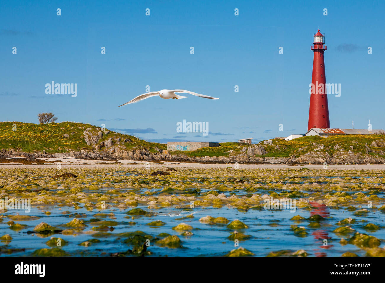 lighthouse of Andenes on the Lofoten, Norway Stock Photo - Alamy