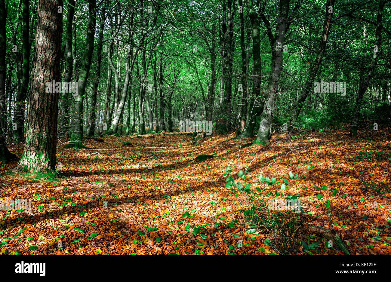 Taril hi-res stock photography and images - Alamy