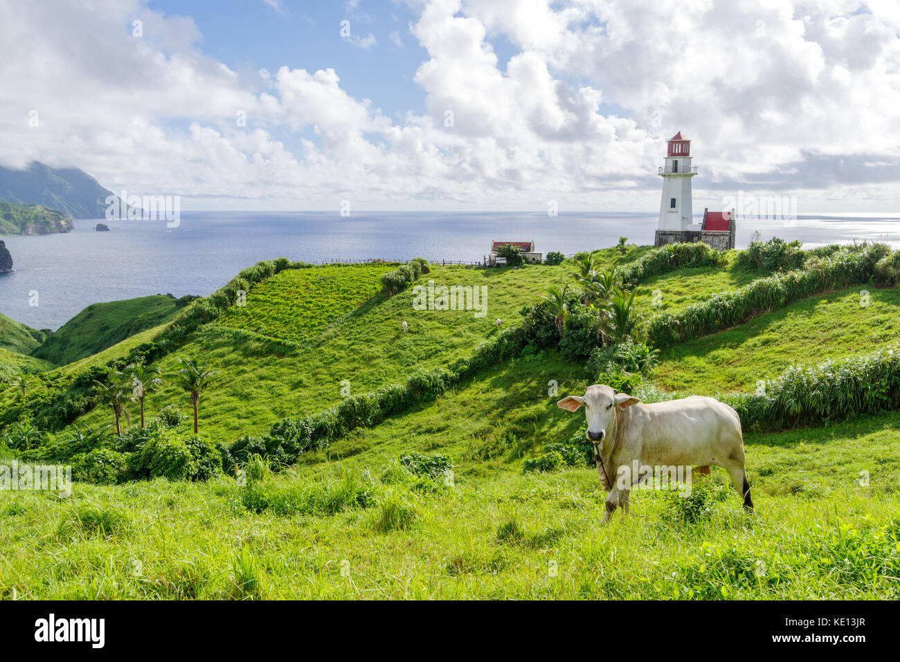 Mahatao Hilll at Batan Island , Batanes, Philippines Stock Photo - Alamy