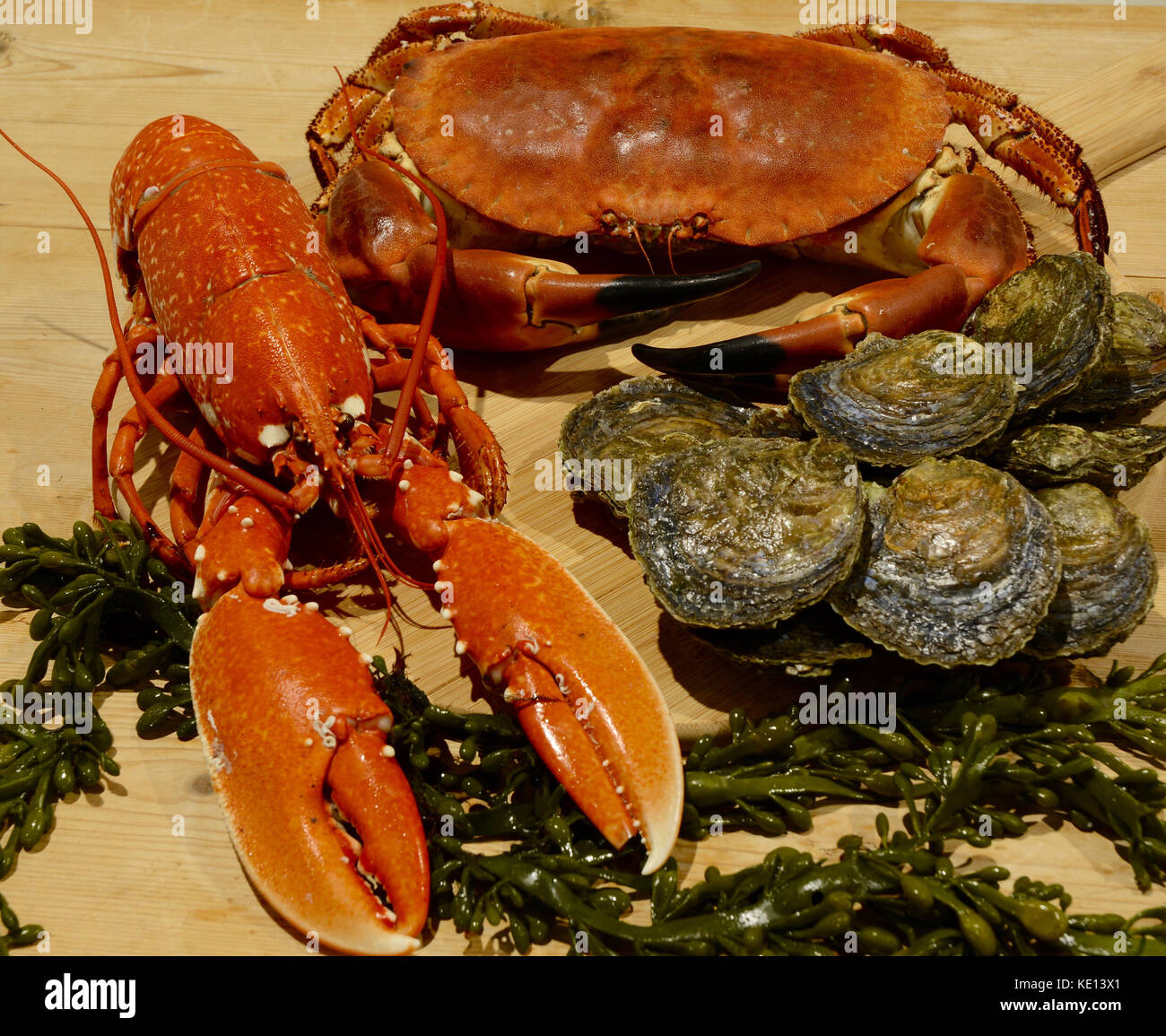 Cornish crab and lobster hi-res stock photography and images - Alamy