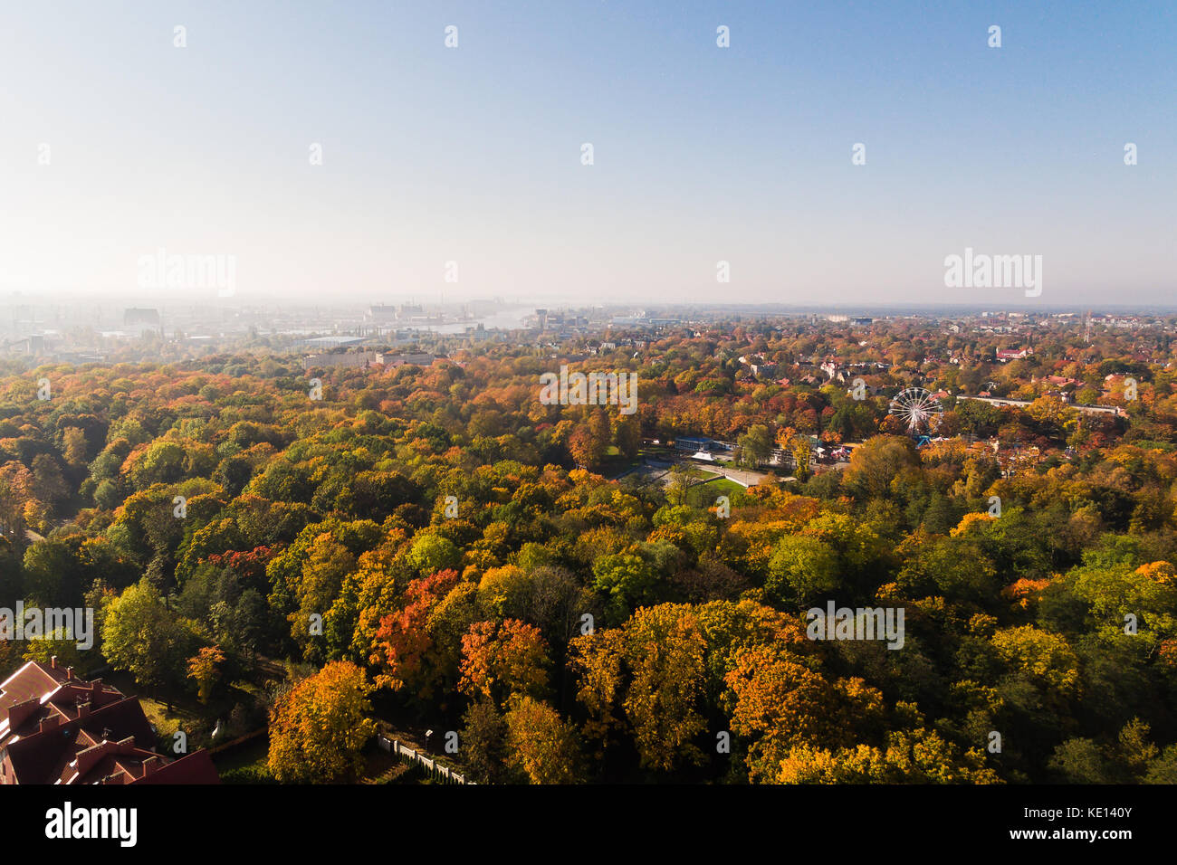 Aerial view of the central park of Kaliningrad in autumn Stock Photo ...