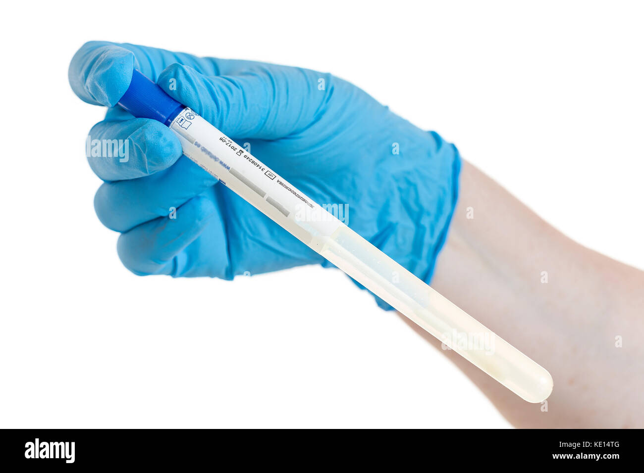 Close examination of biological specimens hi-res stock photography and ...