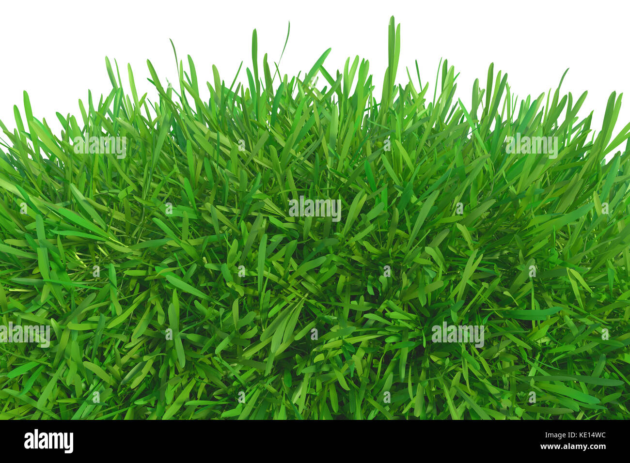 green grass nature. plants lawn. 3d rendering Stock Photo - Alamy
