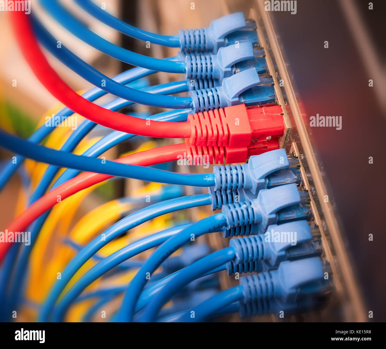 Ethernet Cables Connected to Internet Switch Stock Photo - Alamy