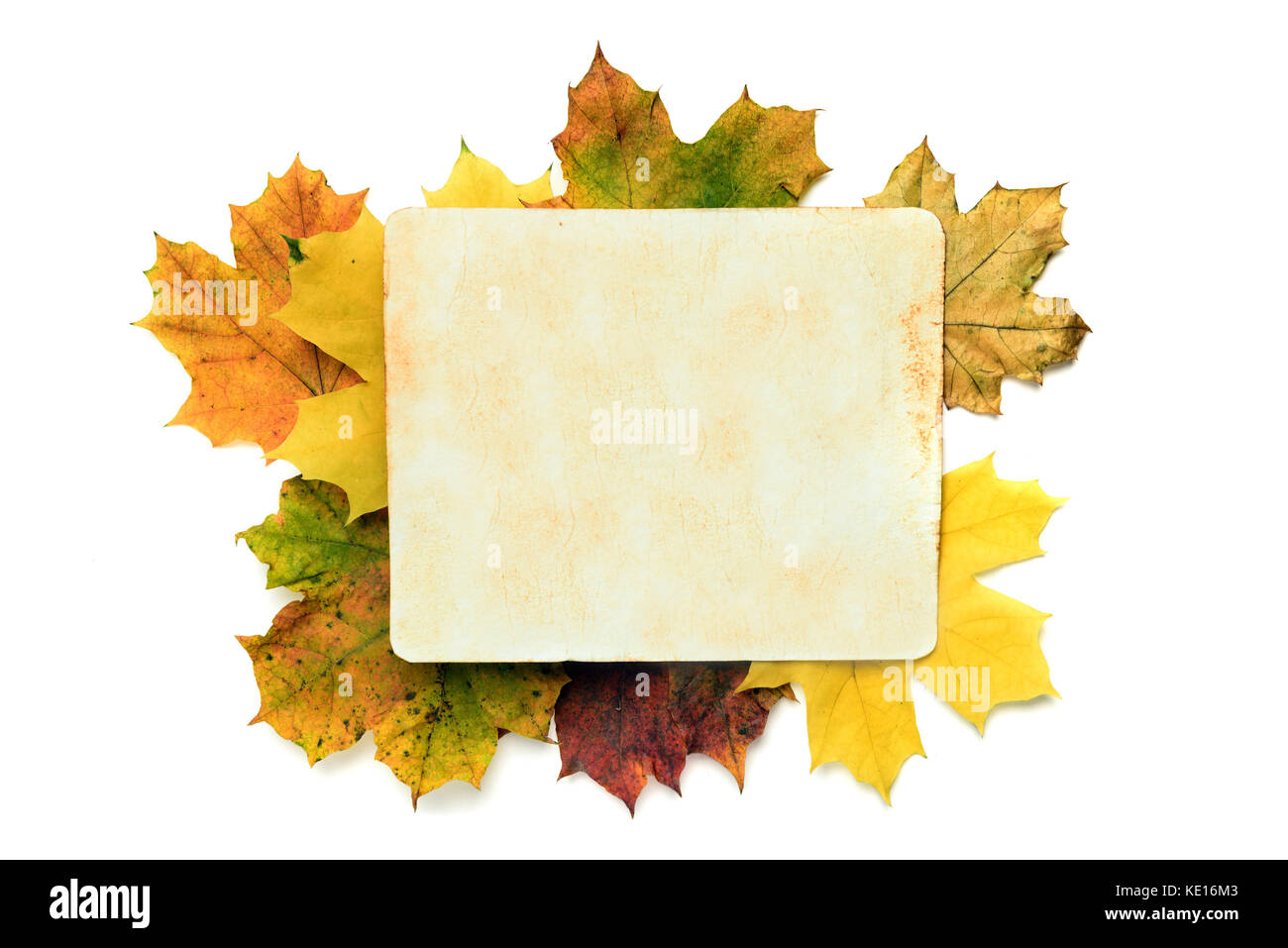 autumn background - old paper texture on the leaves. Clipping path ...