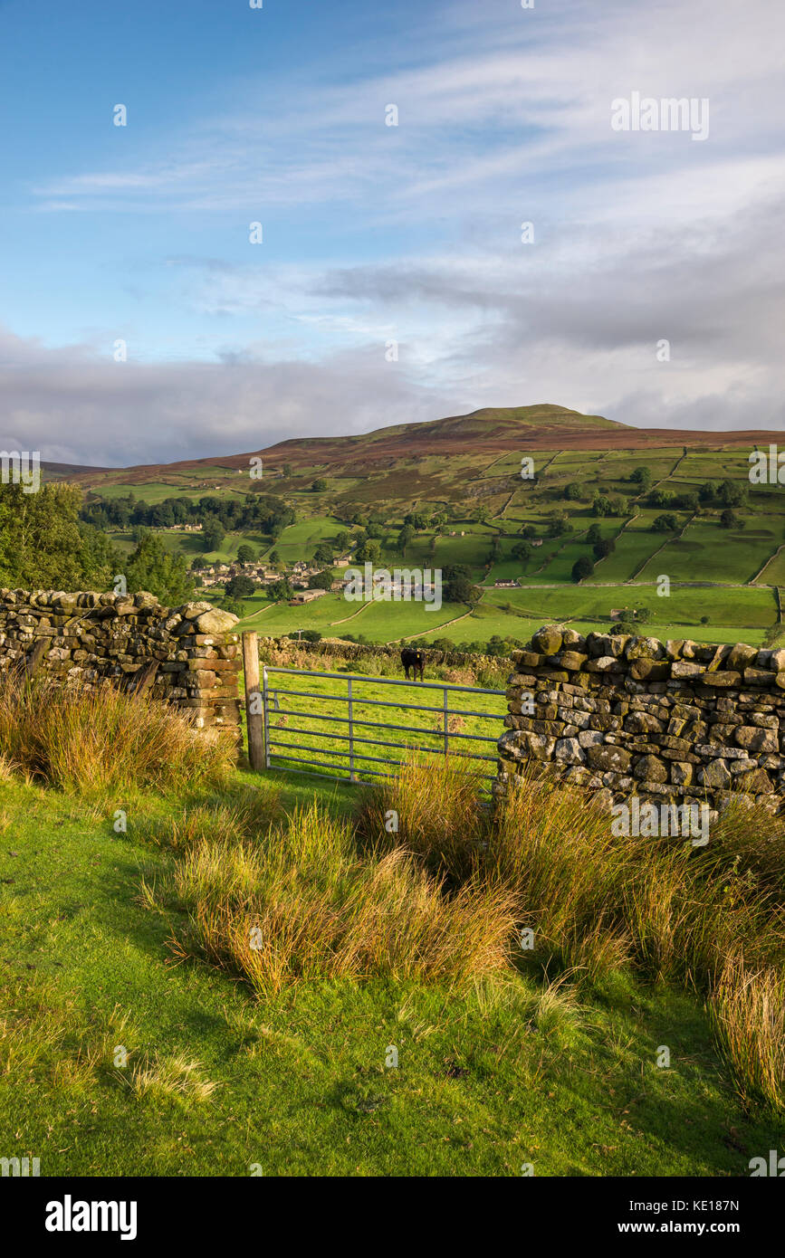 View of Calver hill ner Reeth in the Yorkshire Dales, England ...