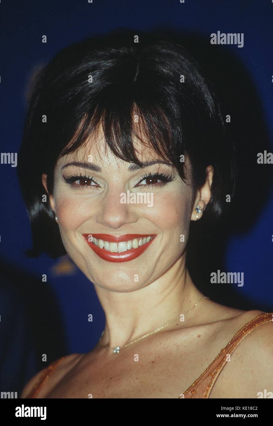 Fran Drescher International Emmy Awards Hilton Hotel, NYC November 24 ...