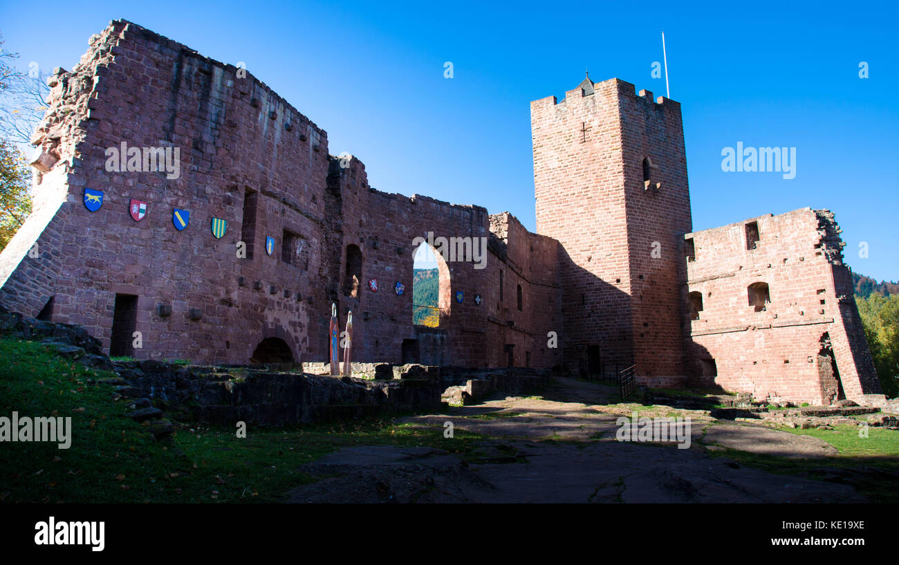 The castle ruin Wangenbourg-Engenthal in the Vosges in France Stock ...