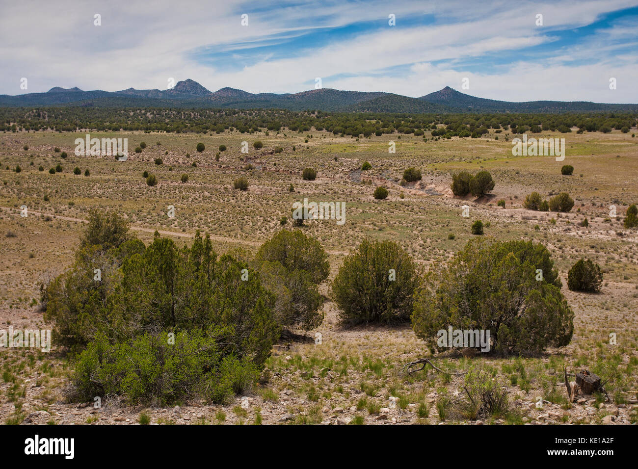 Prescott Valley Arizona High Resolution Stock Photography and Images ...