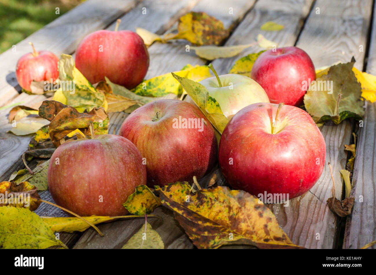 red apples lying on the wooden table Stock Photo - Alamy