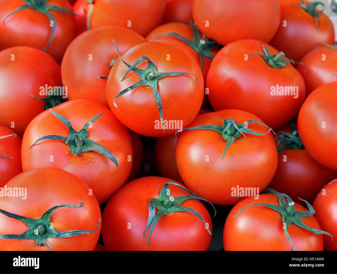 Red organic tomatoes hi-res stock photography and images - Alamy