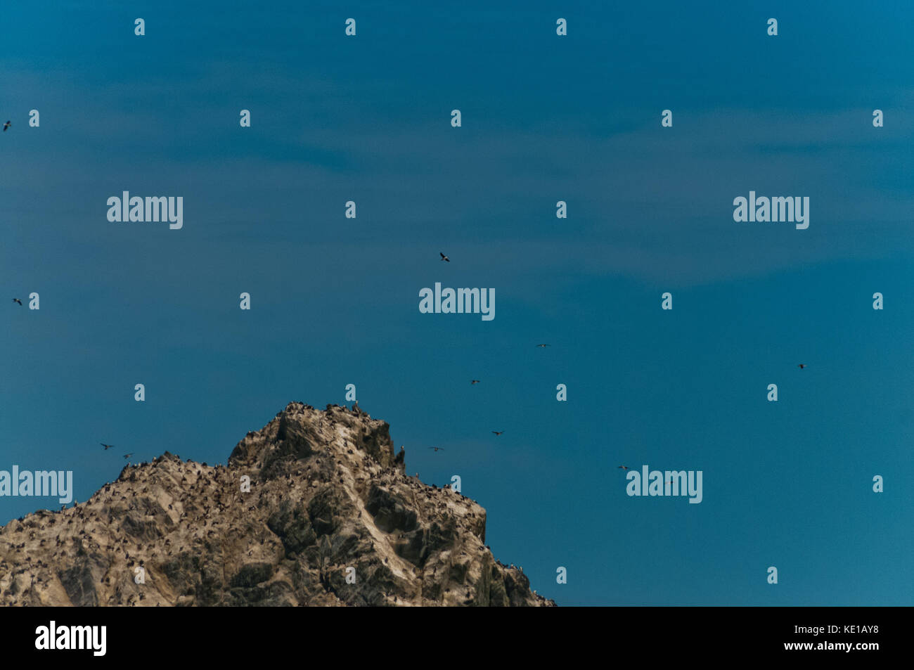 The Shag Rocks Stock Photo - Alamy
