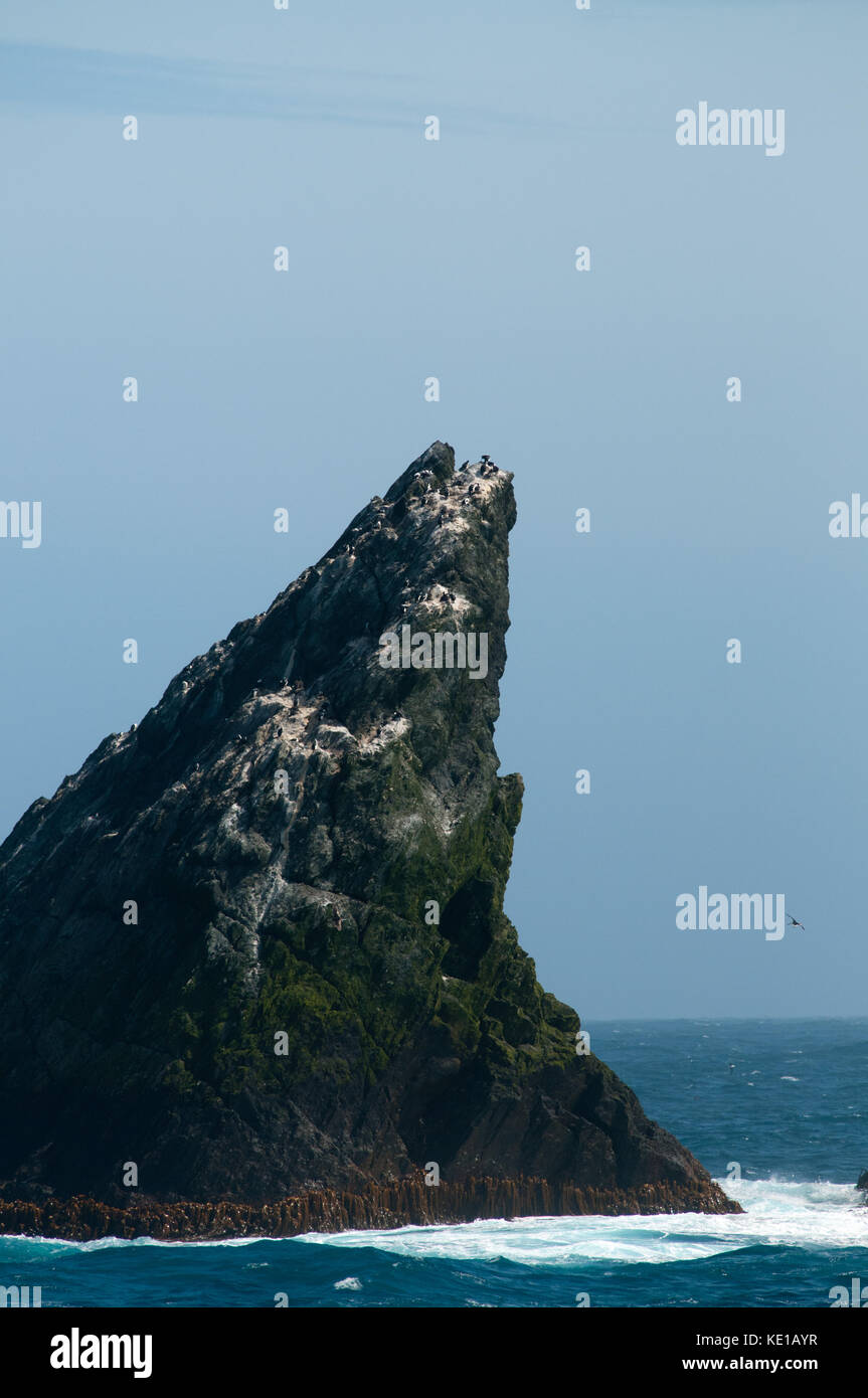 Shag Rocks Stock Photos & Shag Rocks Stock Images - Alamy