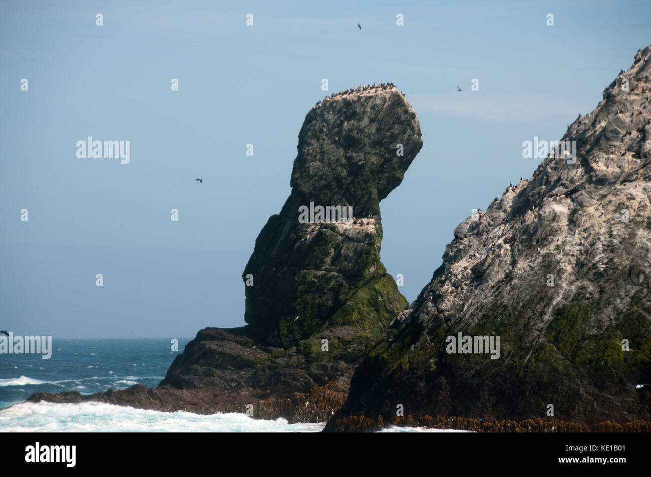 The Shag Rocks Stock Photo - Alamy