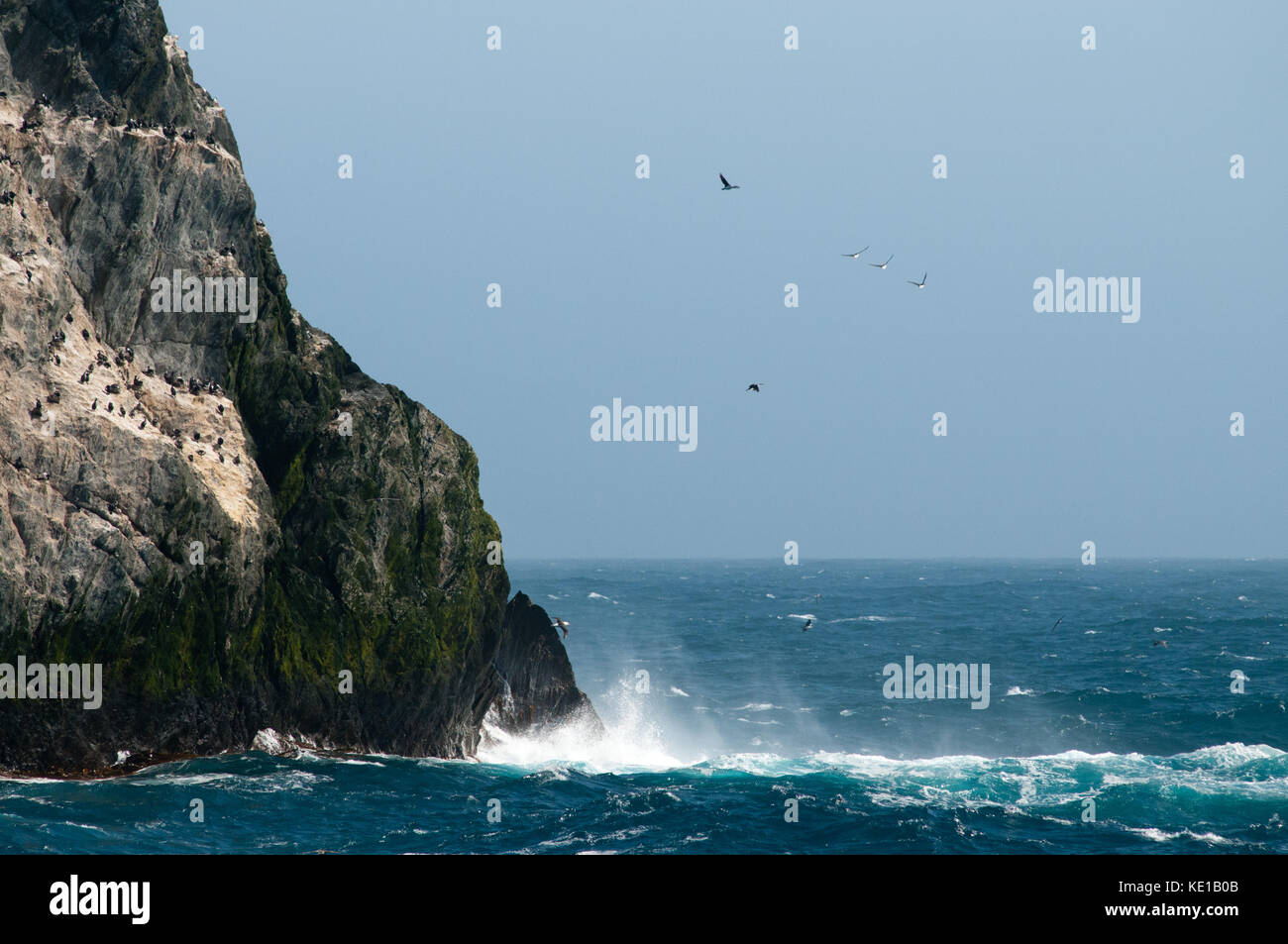 The Shag Rocks Stock Photo - Alamy