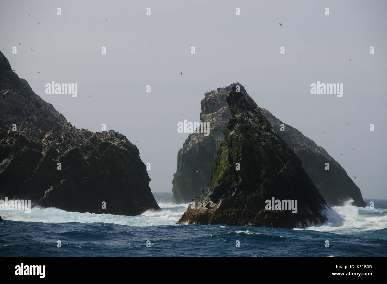 The Shag Rocks Stock Photo - Alamy