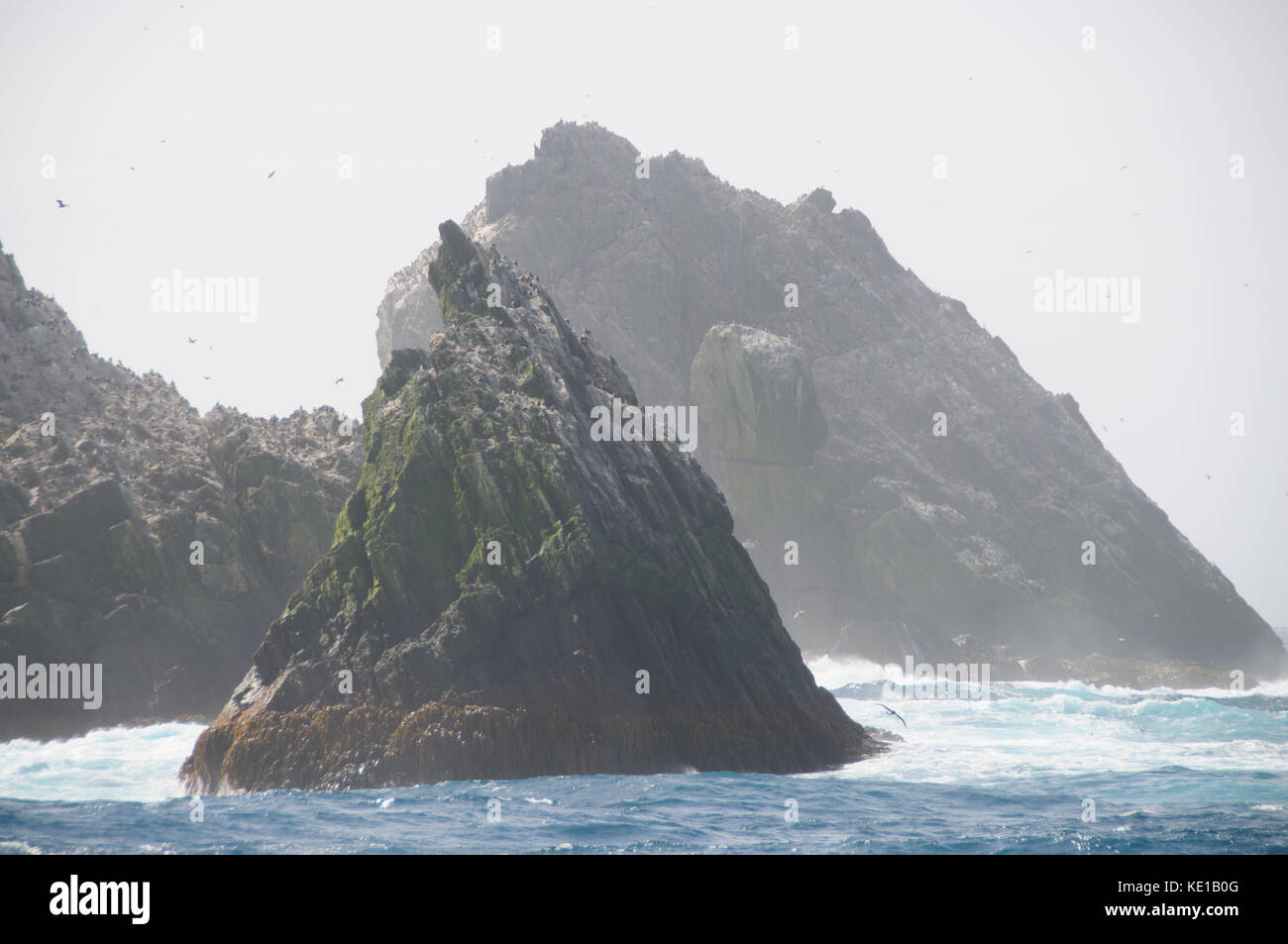 The Shag Rocks Stock Photo - Alamy