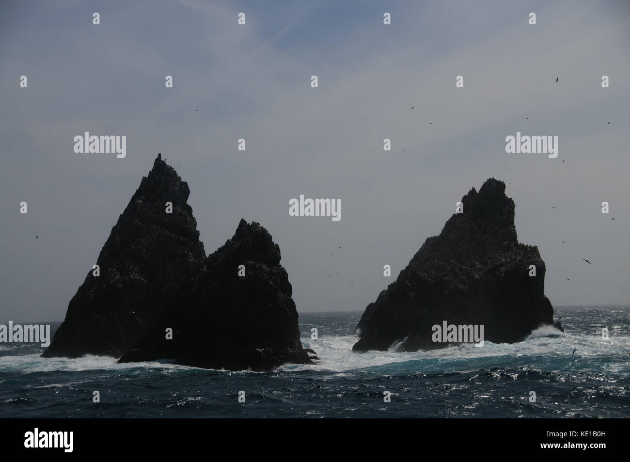 The Shag Rocks Stock Photo - Alamy