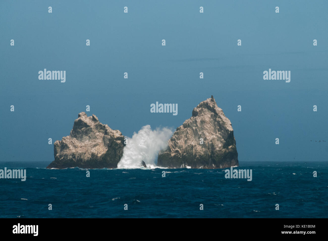 The Shag Rocks Stock Photo - Alamy