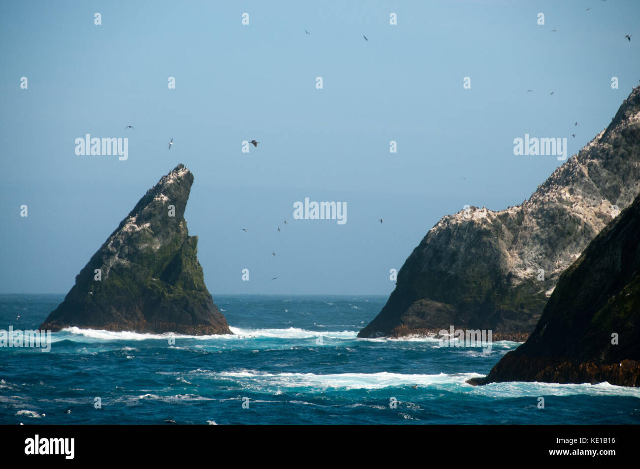 The Shag Rocks Stock Photo - Alamy