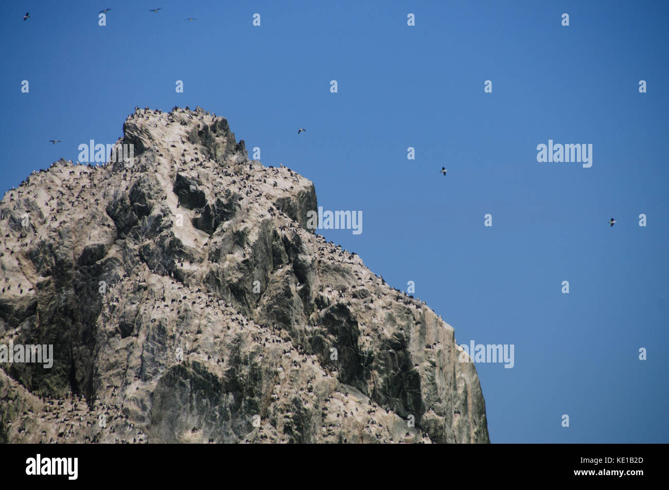 The Shag Rocks Stock Photo - Alamy