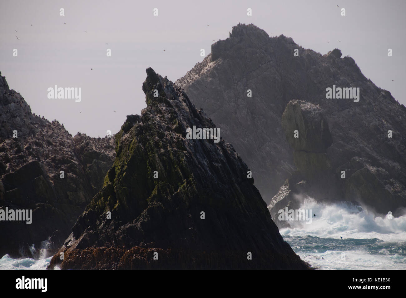 The Shag Rocks Stock Photo - Alamy