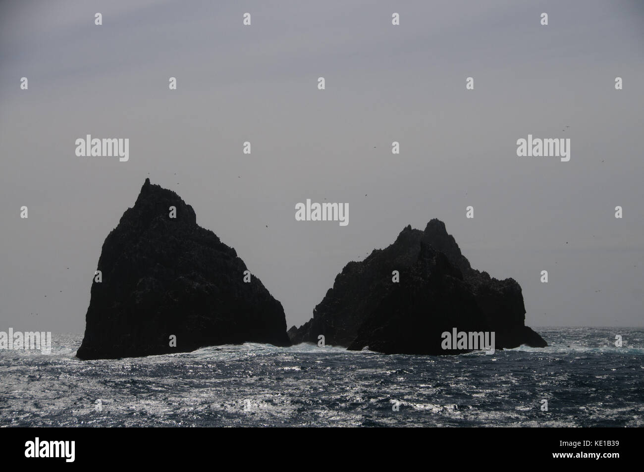The Shag Rocks Stock Photo - Alamy