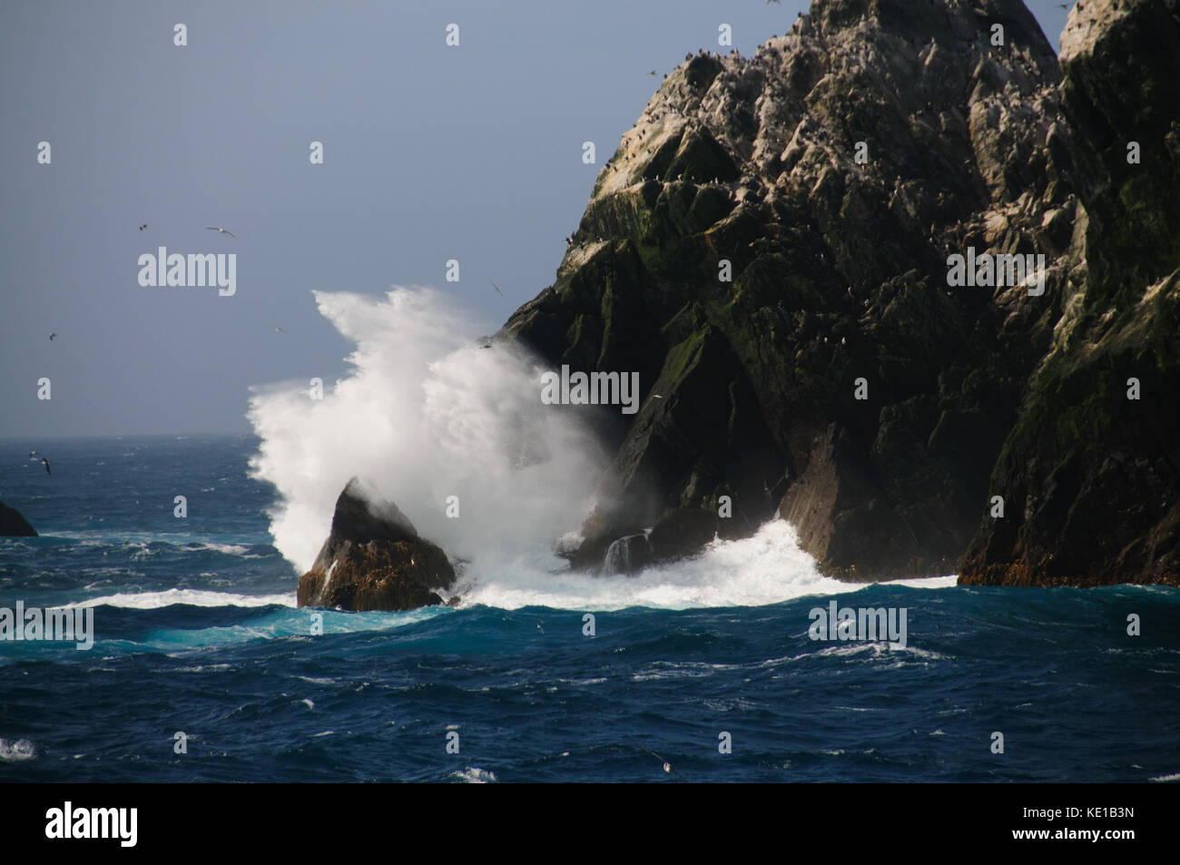 The Shag Rocks Stock Photo - Alamy