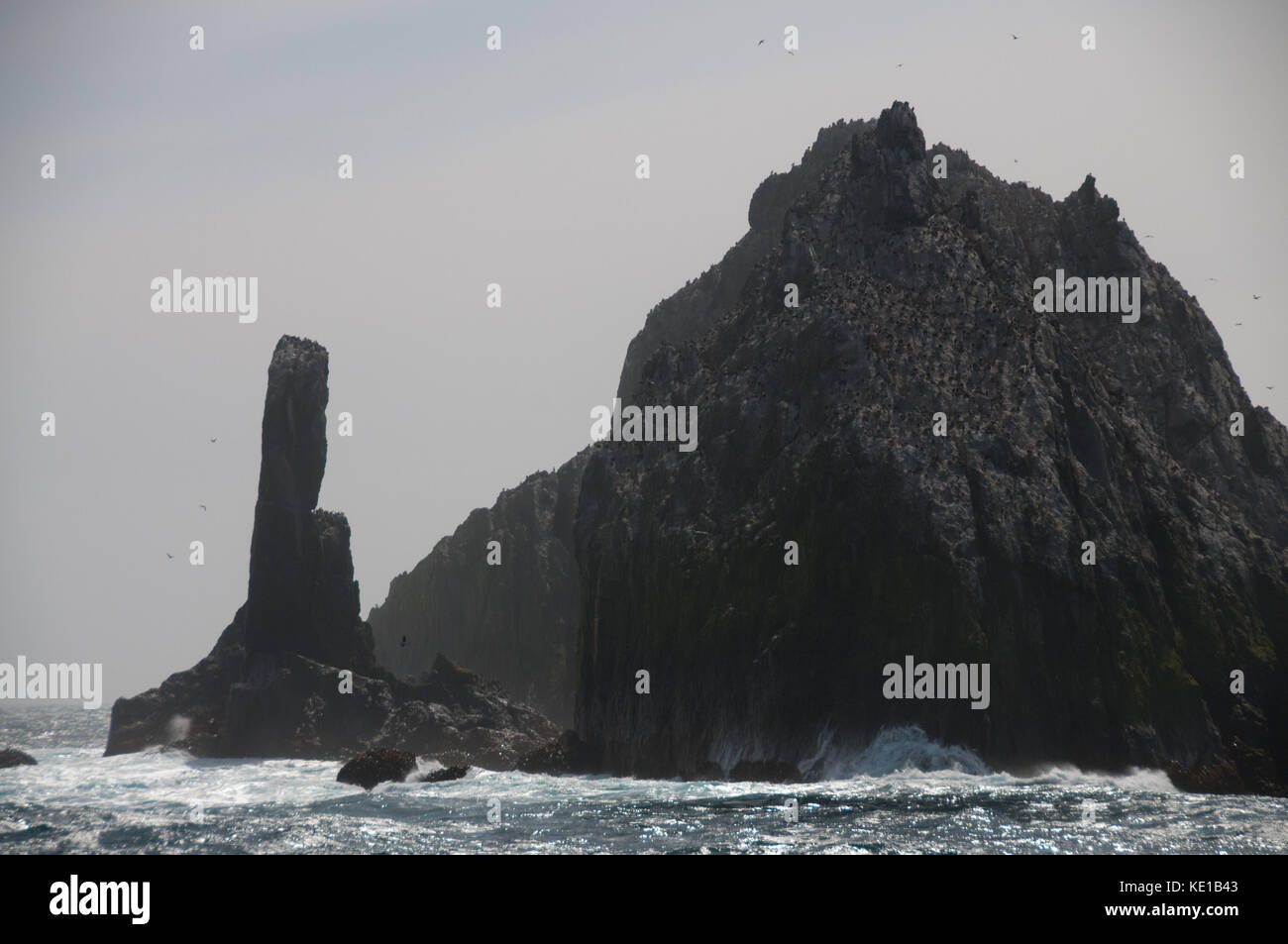 The Shag Rocks Stock Photo - Alamy
