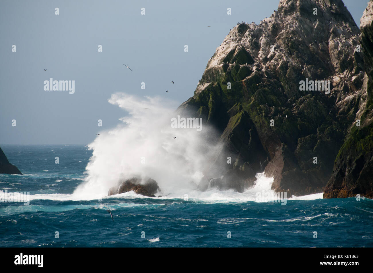 The Shag Rocks Stock Photo - Alamy