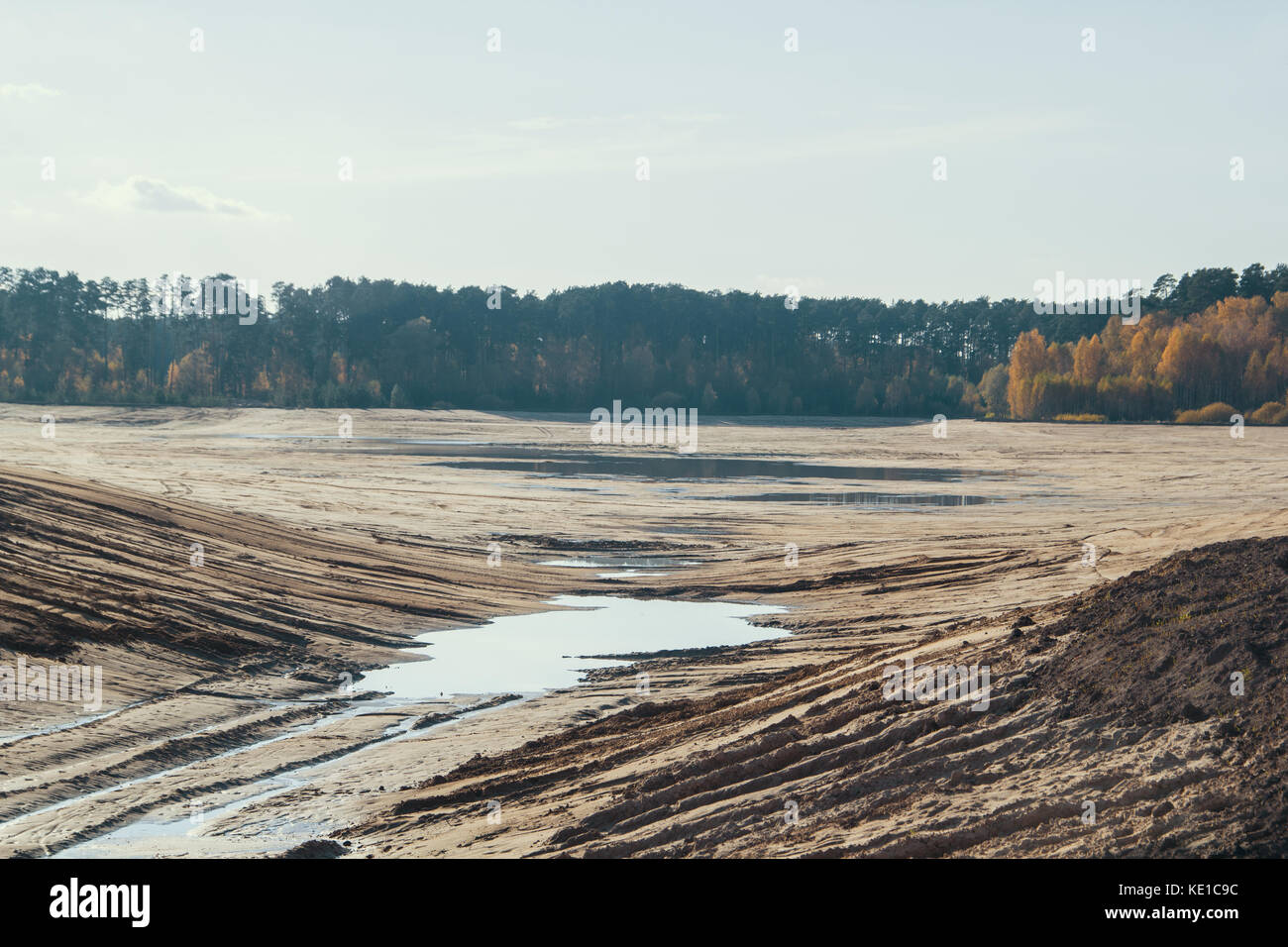 Dry riverbed of lake in forest Stock Photo - Alamy