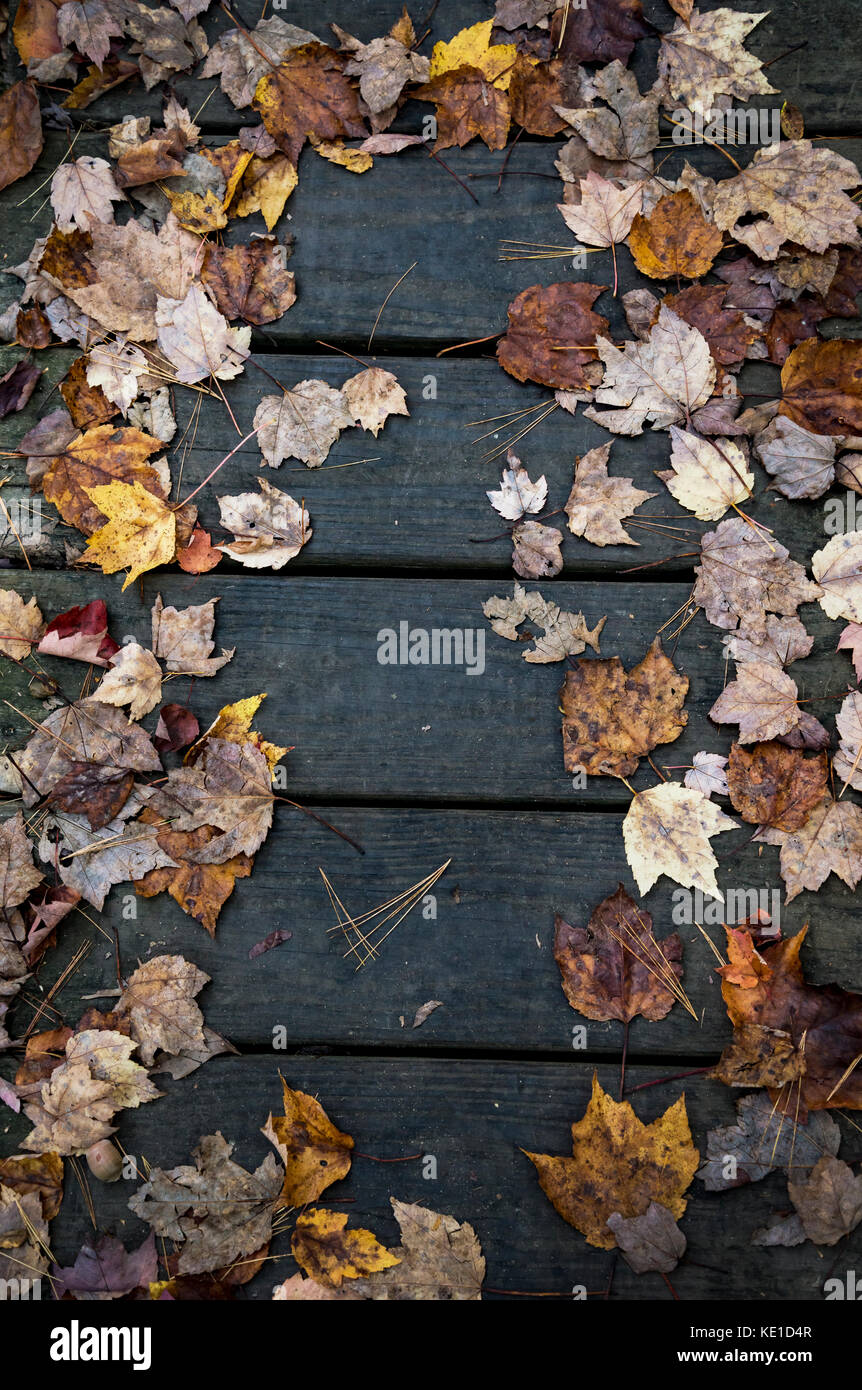 original autumn foliage Stock Photo - Alamy