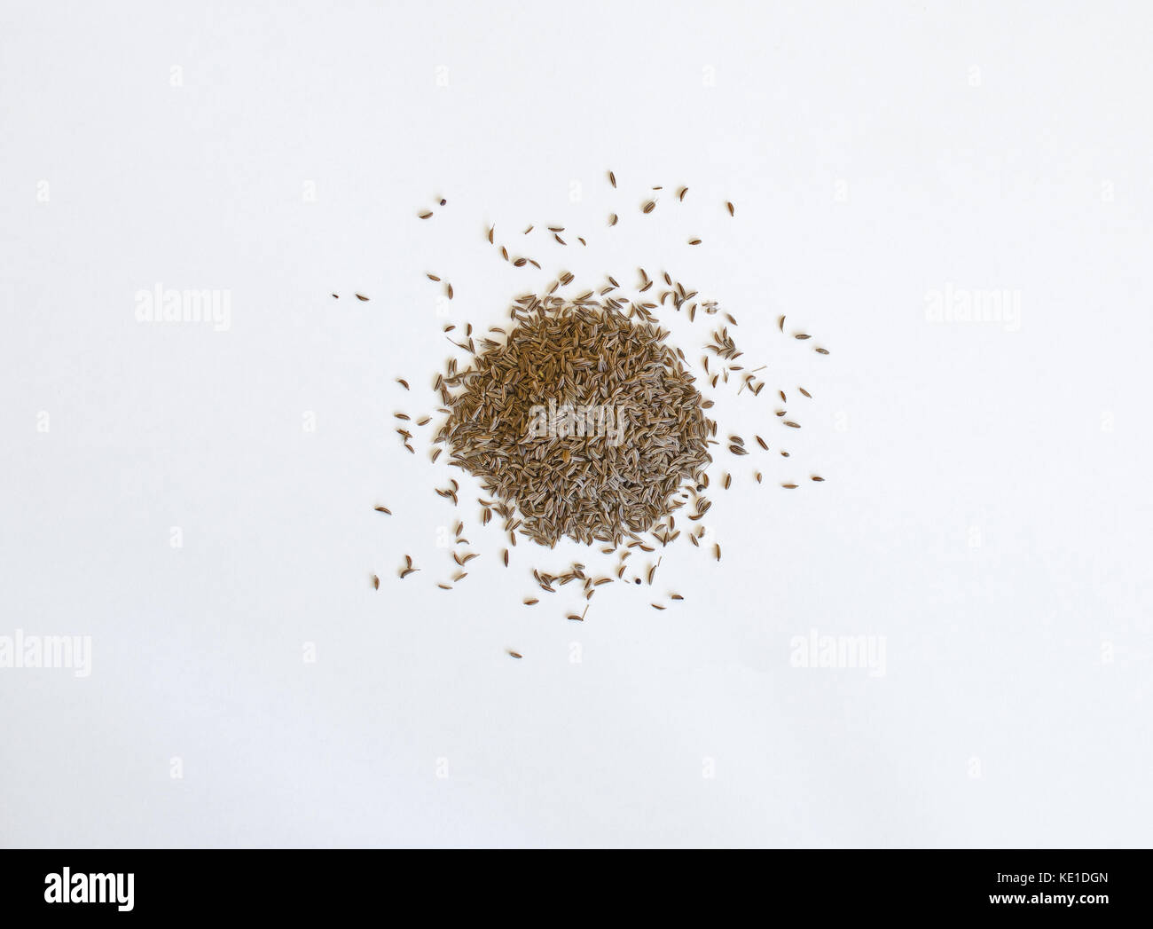Spilled pile of cumin seeds are isolated on a white background Stock ...