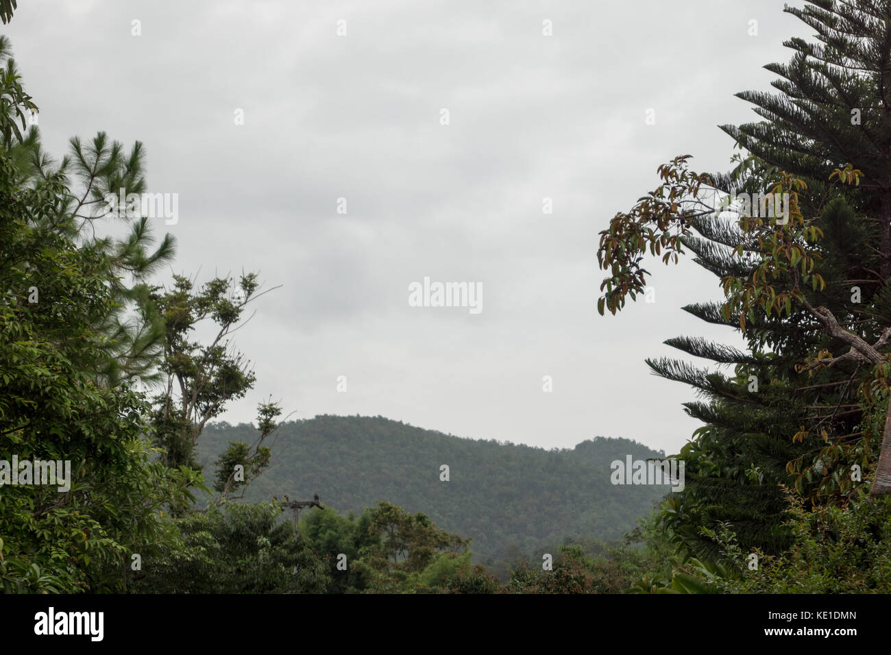 Doi saket hi-res stock photography and images - Alamy