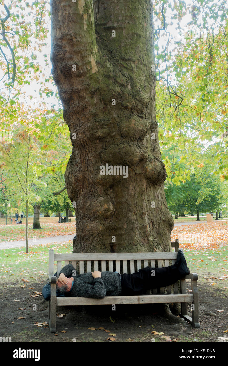 Man asleep on a bench under a tree hi-res stock photography and images ...