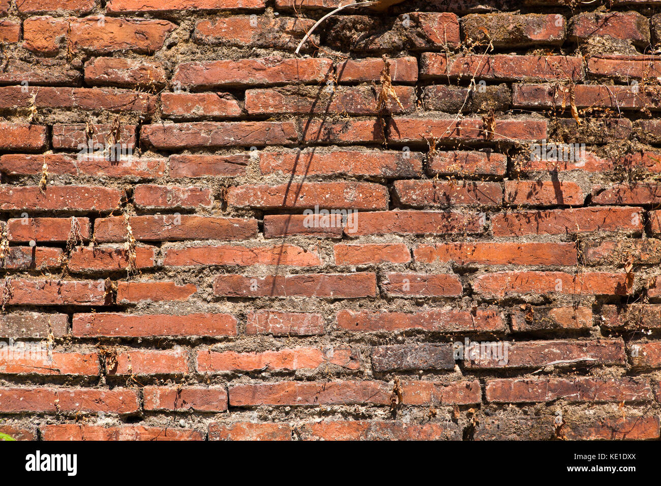 English Bond Brickwork High Resolution Stock Photography and Images - Alamy