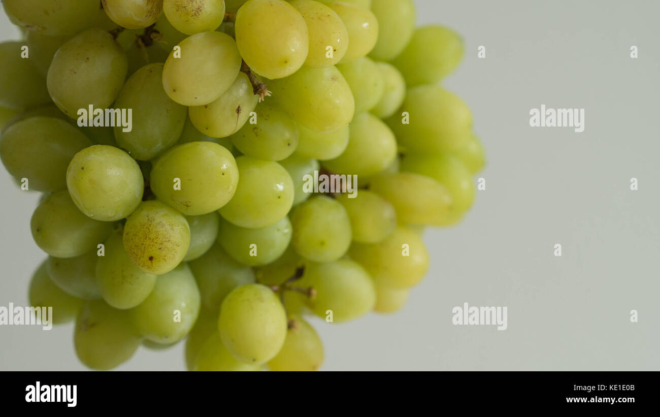 Fresh green grapes Stock Photo - Alamy