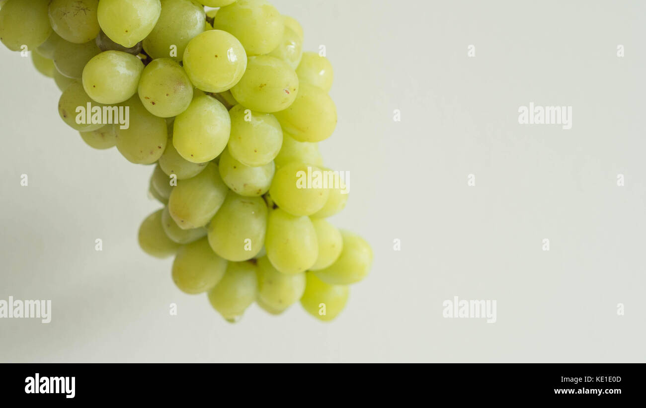 Fresh green grapes Stock Photo - Alamy