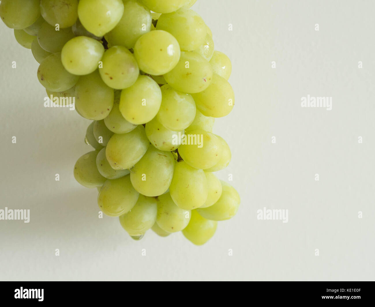 Fresh green grapes Stock Photo - Alamy