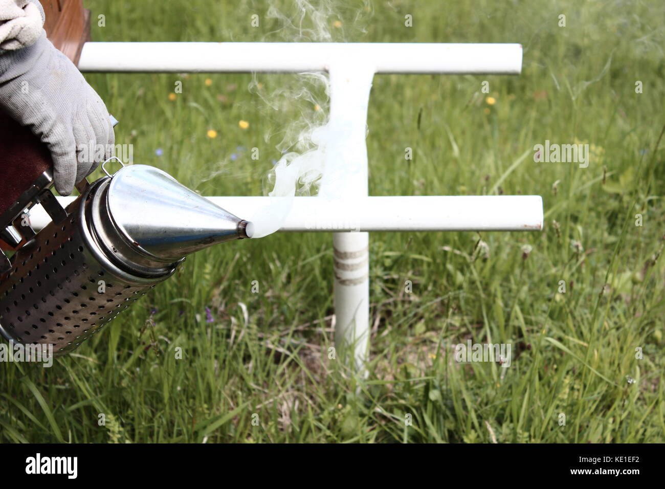 Bee farm hi-res stock photography and images - Alamy