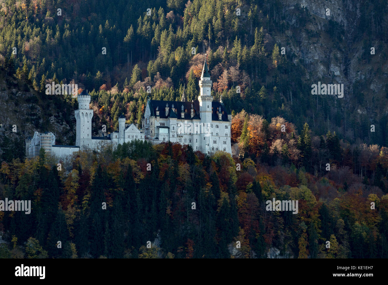 German castle medieval trees hi-res stock photography and images - Alamy