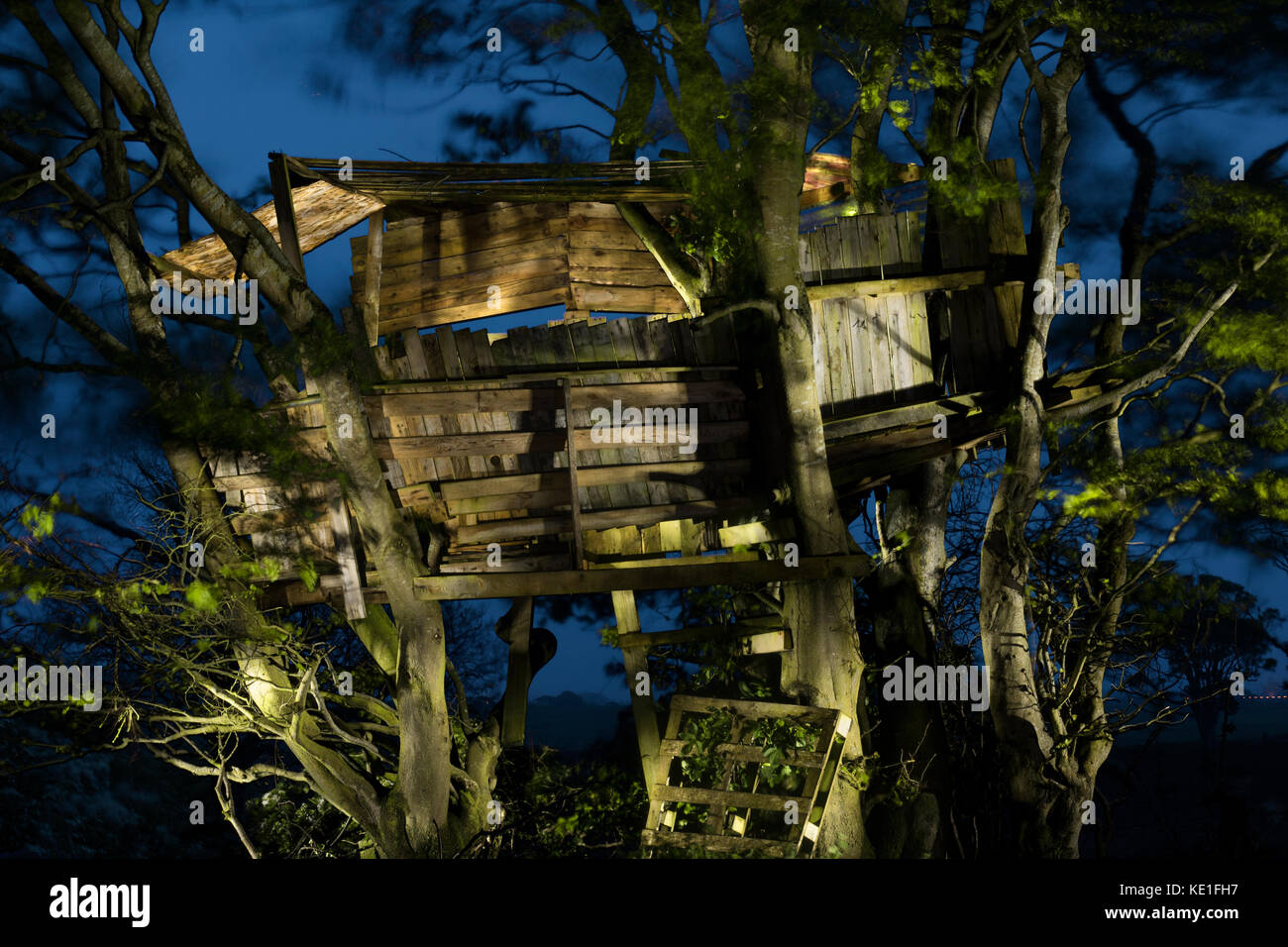 Scray tree hi-res stock photography and images - Alamy